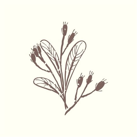 Images De Plante Lin Téléchargement Gratuit Sur Freepik