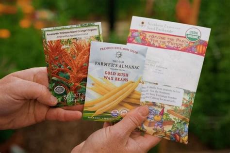 Vermicomposting Made Easy In Bed Worm Composting Growing In The Garden