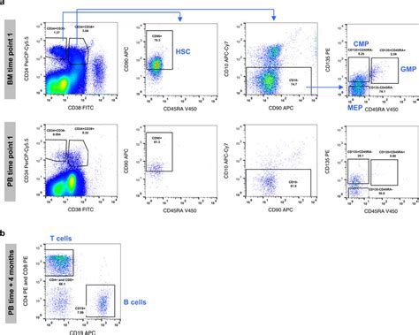 Cell Sorting Strategy A Sorting Of Stem And Progenitor Cells Human Download Scientific