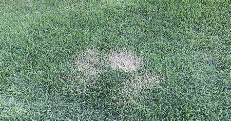 Patch Album On Imgur