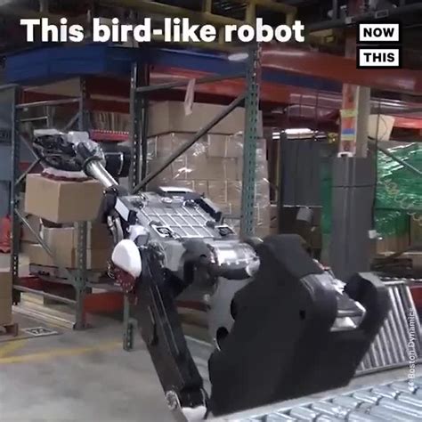 Shyam Sundar Mallampalli Posted On Linkedin