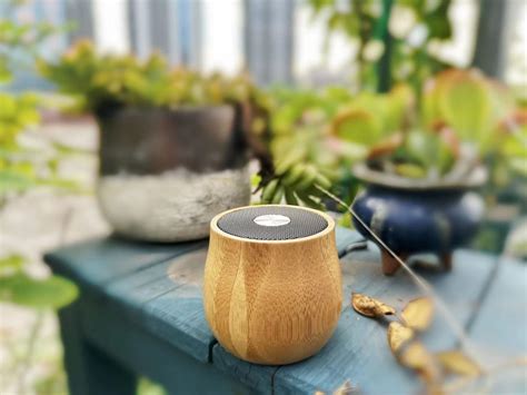 Luidspreker Hout Yipp And Co