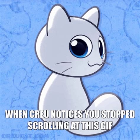 Happy Cats  By Créu Cat Find And Share On Giphy