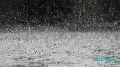 Zangi Mn Мал тууж яваад сураггүй болсон хоёр иргэнийг эсэн мэнд олжээ