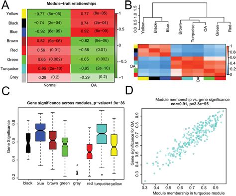The Combination Of Heatmap A And Module Clustering B Indicates That Download Scientific