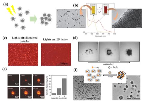 A Schematic Of Light Assisted Nanoparticle Self Assembly By Surface