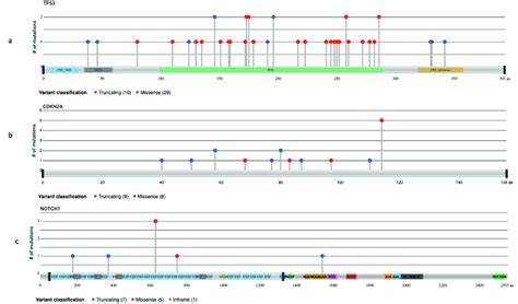 Lollipop Plots Highlighting Genomic Alterations Of Known And Likely