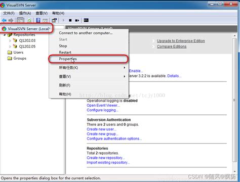 Svn服务器仓库更换硬盘（文件夹）svn可以安装到别的盘吗 Csdn博客