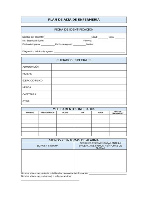Ejemplo De Plan De Alta De Enfermería Pdf
