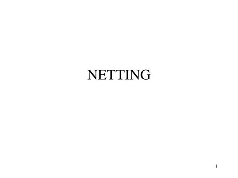 Ppt Netting Powerpoint Presentation Free Download Id3607571