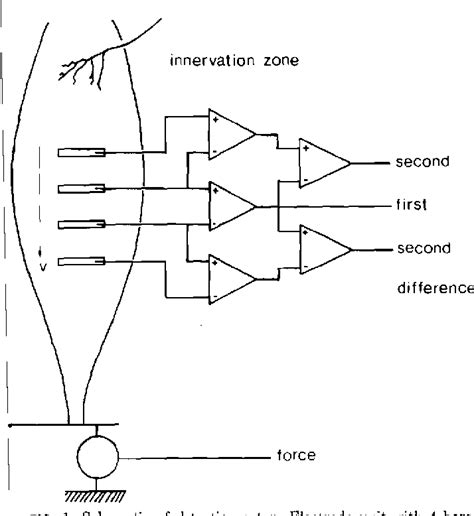 Figure 1 From Myoelectric Signal Conduction Velocity And Spectral Parameters Influence Of Force