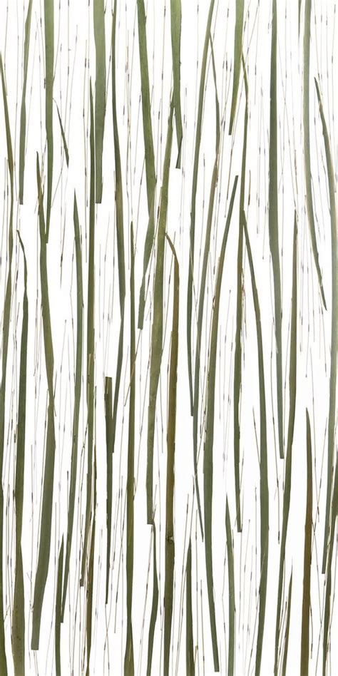 Interlayers Amazon 3form Material Textures Terrace Exterior Organic