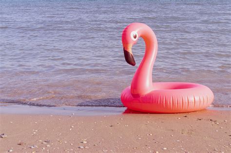 여름 재미 고립 여름 바다 해변 배경에 푸른 바다 물에 분홍색 팽창식 플라밍고 아이들을위한 재미있는 새 장난감 0명에 대한 스톡 사진 및 기타 이미지 Istock