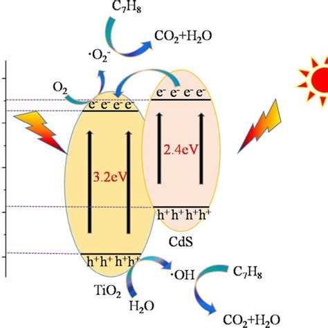 A Comparison Of Photocatalytic Activity Of Cds Tio2 Nf And Tio2 Nf On