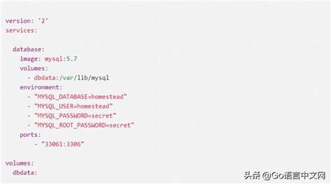 用docker搭建laravel和vue項目的開發環境 每日頭條