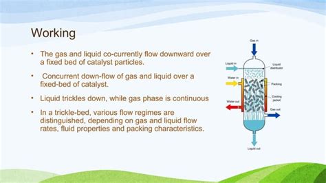 Trickle Bed Reactor Ppt Chemistry Science