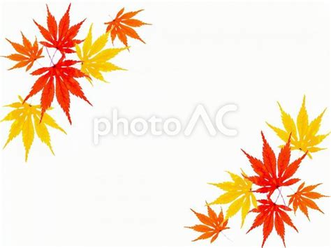 紅葉のフレーム No 24674500写真素材なら写真AC無料フリーダウンロードOK