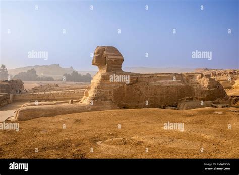 How Wide Is The Great Sphinx Of Giza At Billy Mccormick Blog