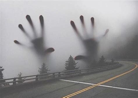 Baris Yücel Baris Yucel Twitter