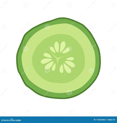 Cucumber Slice Cross Section With Seeds Stock Vector Illustration Of