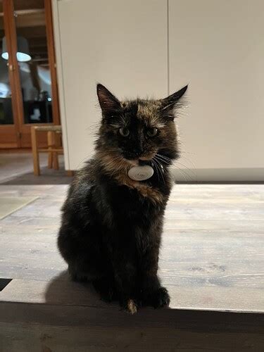 Motion Heat Map Frontend Home Assistant Community