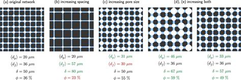 Topological Manipulations On 2d Cross Section Of A Sample Cubic Network