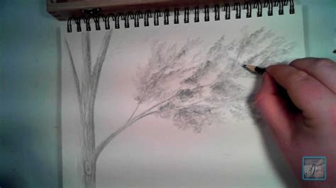 How To Draw A Realistic Tree Step By Step