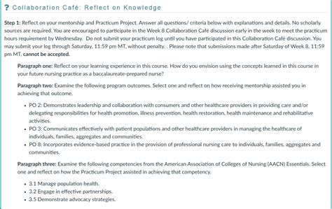 Nr436 Week 8 Practicum Project Collaboration Café Evaluation Of Mentorship And Project Nurse Iq