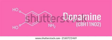 도파민 화학식 분자구조의 벡터계 스톡 벡터로열티 프리 2160721469 Shutterstock