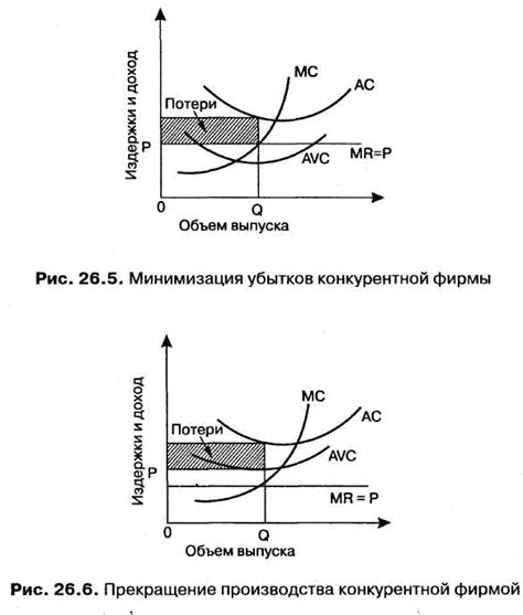 17 Максимальная прибыль фирмы и минимизация убытков в условиях