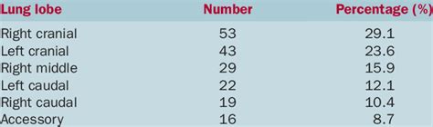 Lung Lobe Location Of Blebs And Bullae Identified At Surgery Download