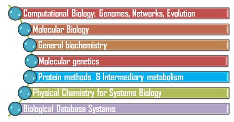 Biochemistry And Bioinformatics Dissertation Rewriting Phd Assistance