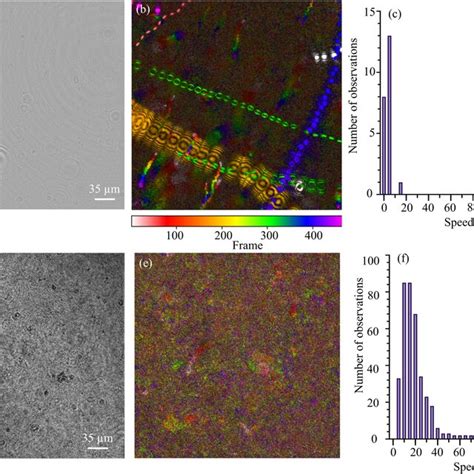 Fault And Fracture Density Map Of Research Area Download Scientific Diagram