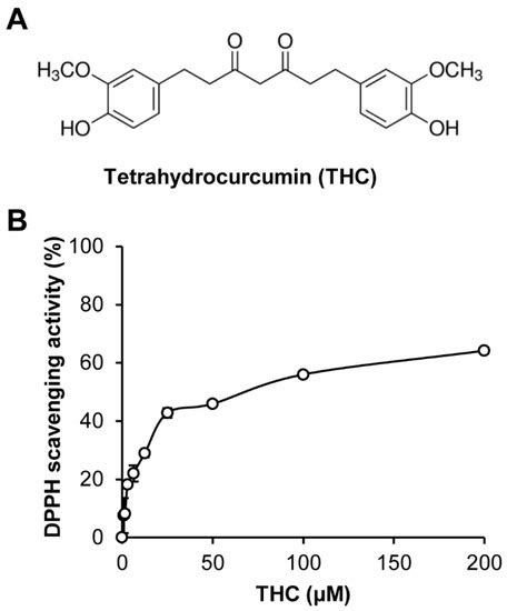 Neuroprotective Effects Of Tetrahydrocurcumin Against Glutamate Induced