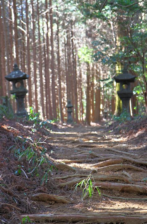 미야자키 여행 아름다운 삼나무 숲 산책길 규슈올레 다카치호 코스 무코우야마 신사