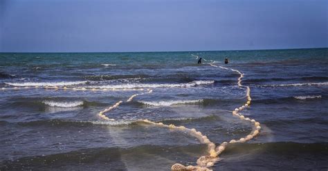 Political Will Required To Protect Caspian Sea Environment Iran Says
