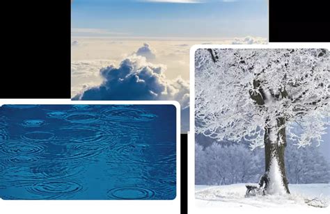 Weather Data History Forecasts For Any Project