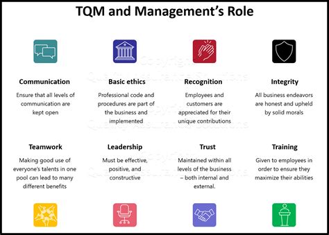 Describes The TQM Model And The Eight Principle Elements