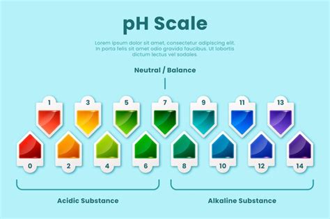 Free Vector Gradient Ph Scale Infographic