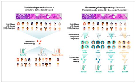 Biomarkers For Ckd Subtyping Disease Prediction And Treatment