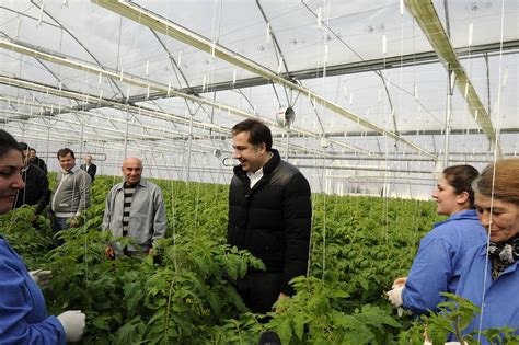 ახალი სათბური პრეზიდენტმა წეროვანში სასათბურე მეურნეობა და… Flickr