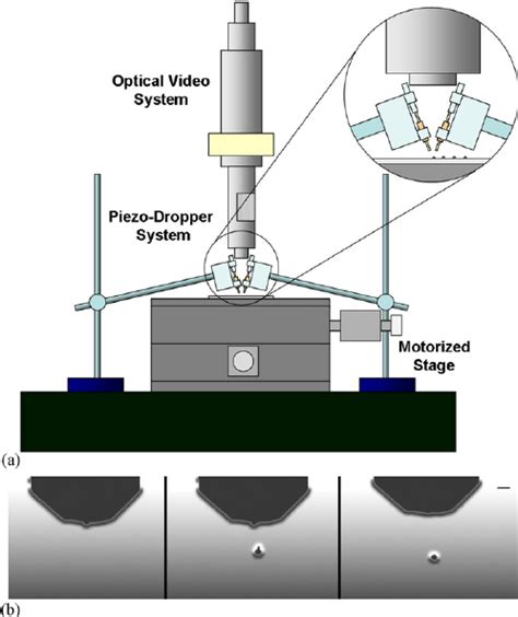 A Microdeposition Set Up And B Drop Deposition Sequence Scale Bar Download Scientific