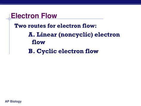 Photosynthesis Life From Light Ppt Download