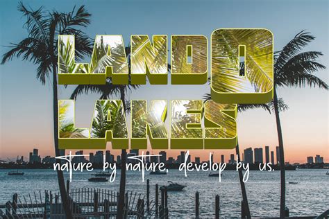 Service Areas Land O Lakes Home Psld Enterprises Floridas
