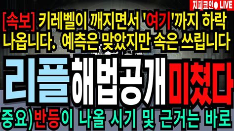 엑스알피 Xrp 리플 전망 💯리플 해법공개 미쳤다🚨 속보 키레벨이 깨지면서 여기까지 하락 나옵니다 중요반등이 나올 시기 및 근거는 바로 Youtube