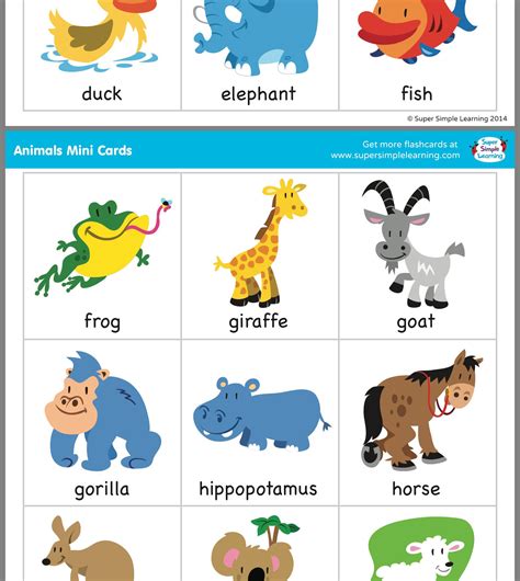 basic concepts skills screener artofit