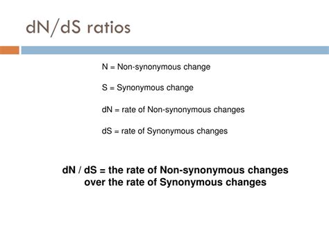 PPT Quick Lesson On DN DS PowerPoint Presentation Free Download ID 2285767