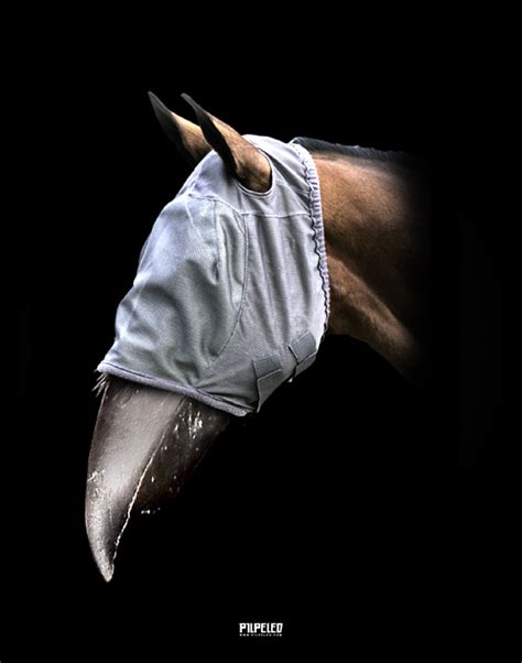 Nir Peled Oldskullnet