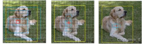 毕业设计选题：基于深度学习狗狗品种识别系统 人工智能 机器学习 Python 目标检测人工智能 识别各种各样的狗 Csdn博客