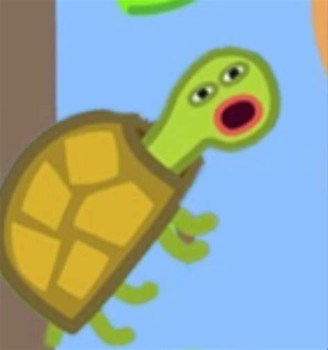 Funny Turtle Pictures